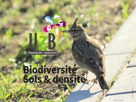 Sols et densité - compte- retour sur la 23e rencontre du Club U2B ...